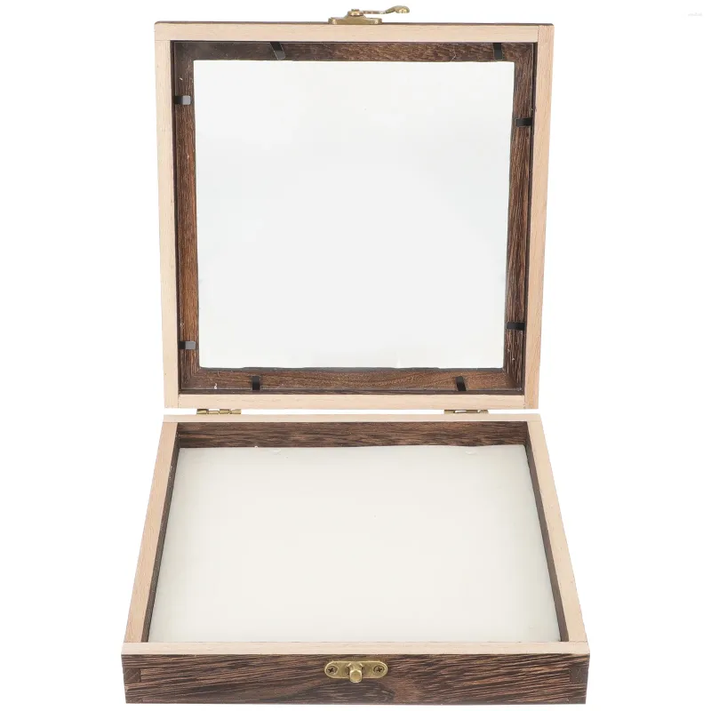 Insect Display Case With Bug Wood Eva Wall Wood Framed Mirror ...