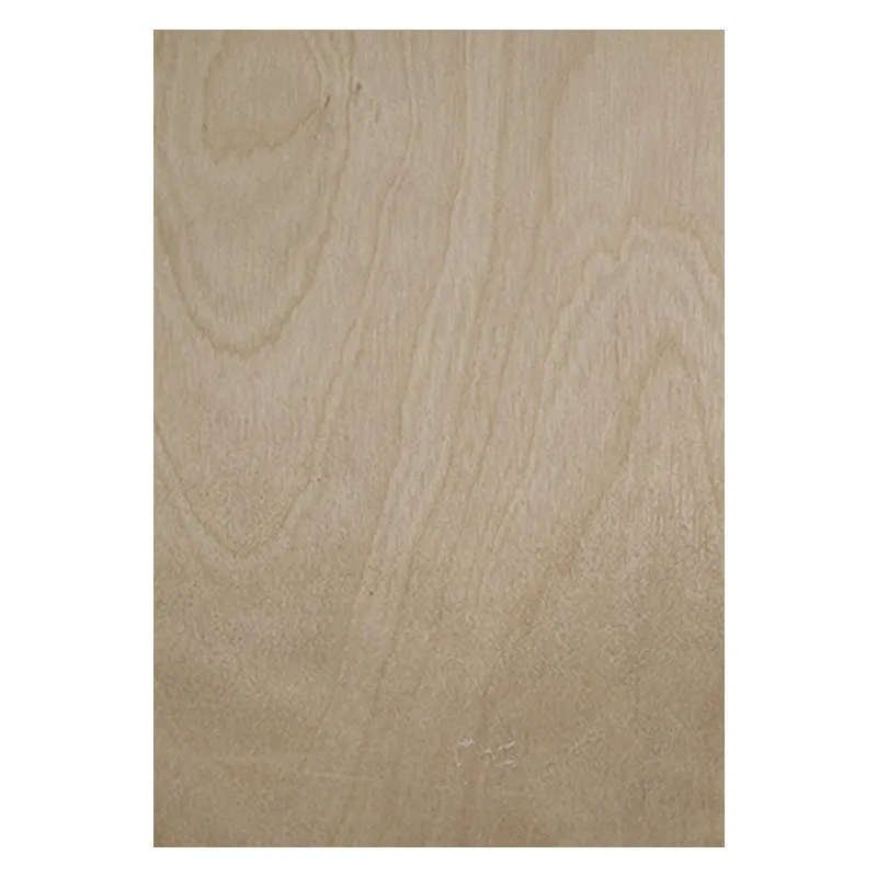 Multi Layer Birch Board UV Coated, Melamine Warm White, 12mm Veneer ...