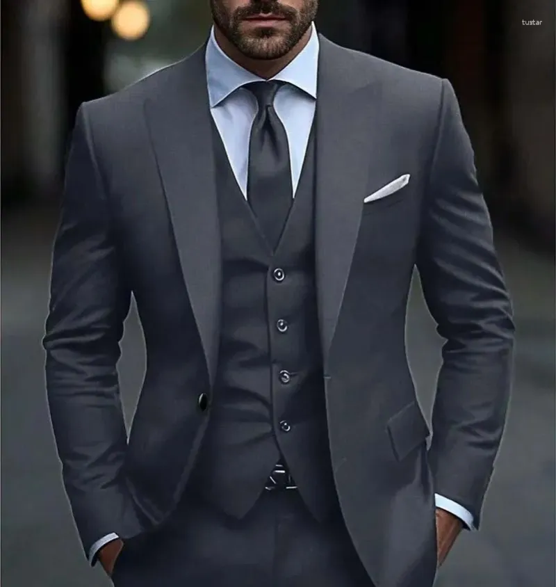 Ternos Cinza Escuro Para Casamento Masculino