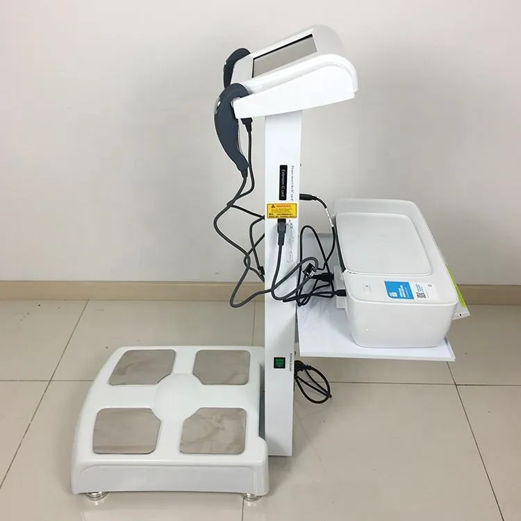 Comprehensive 3D Body Scanner For Fitness Centers Full Body Analysis ...