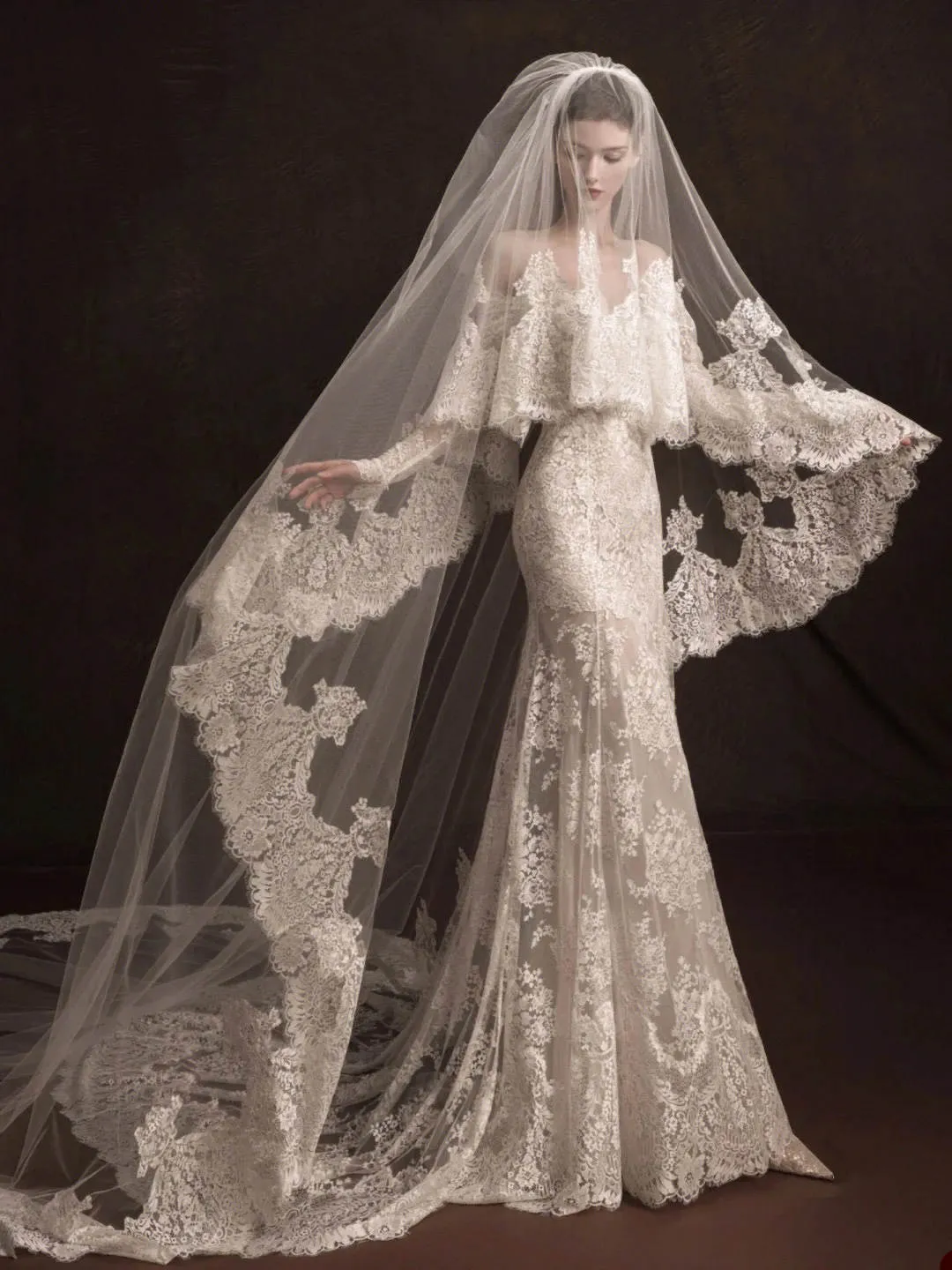 Elegant Two-Layer Chapel Length Wedding Veil with Delicate Lace Edge ...