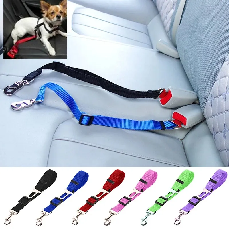 Kmart pet seat belt store