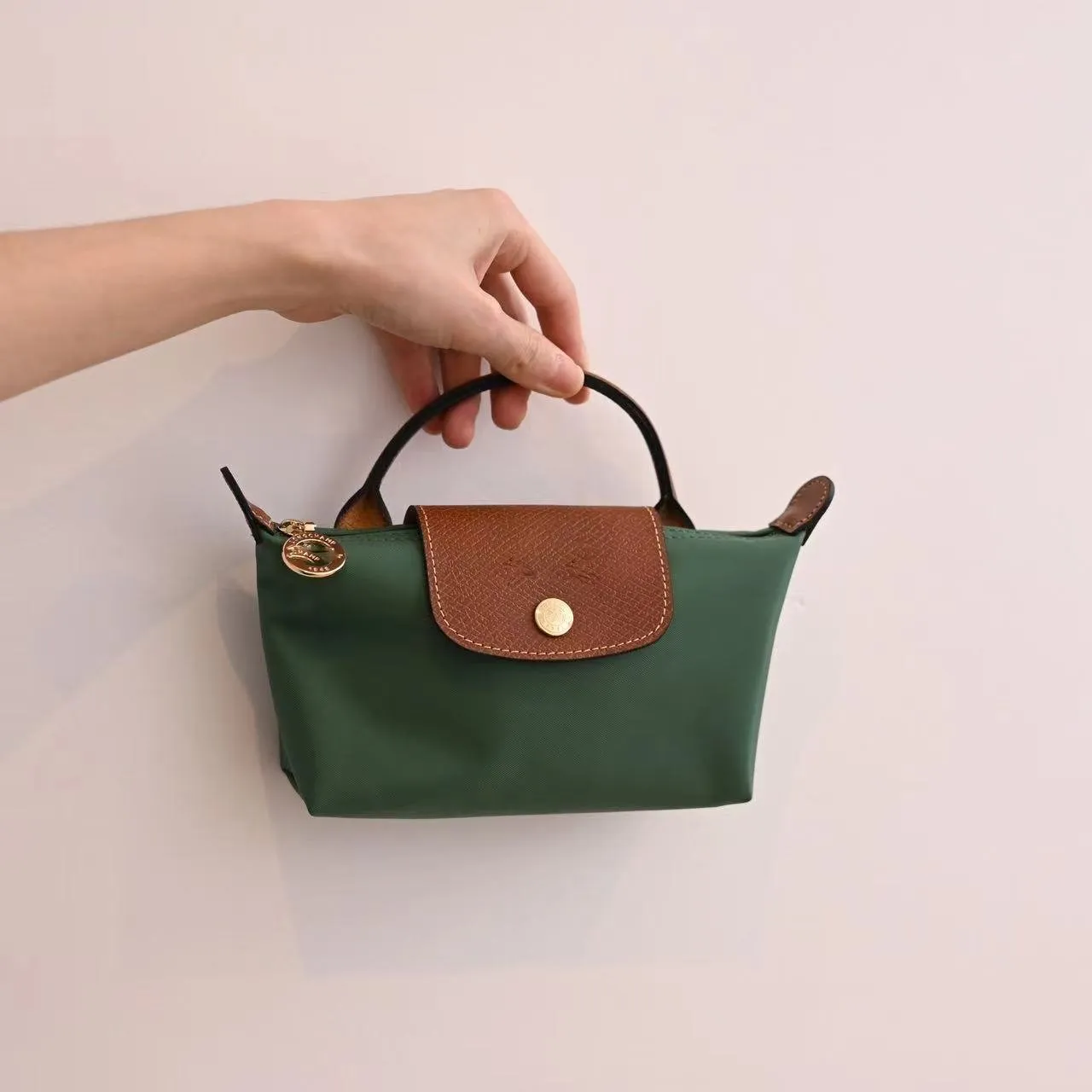 Mini Genuine Leather Tote Bag for Women with Single Handle and Zipper ...