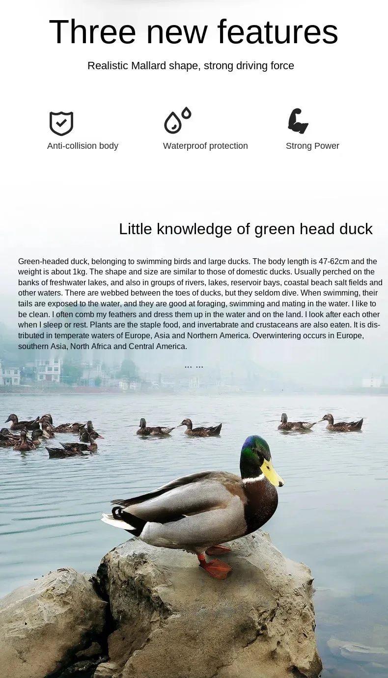 RC Duck Speedboat: Rechargeable, High-Speed, Remote Controlled Toy Boat ...