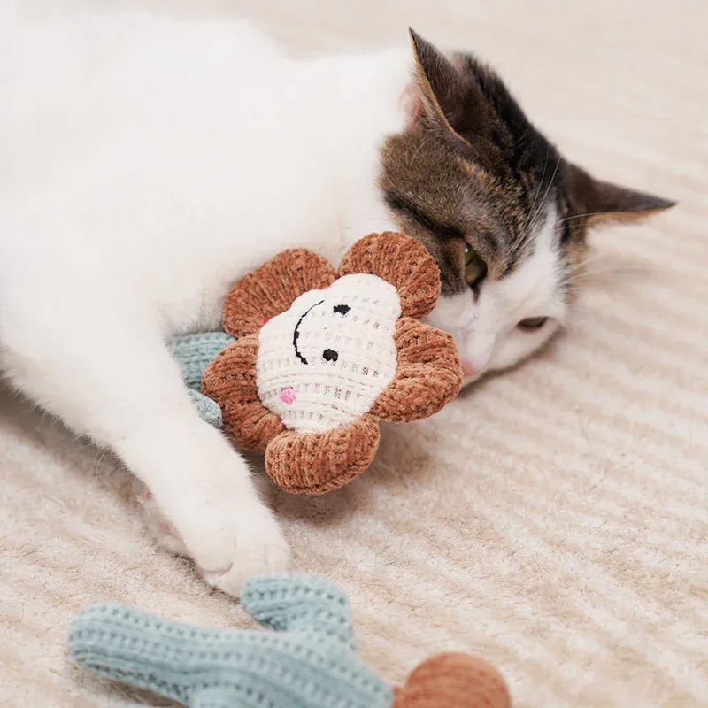 Natural Wood Knit Catnip Toys With Molar Toothpaste Branch For Safe ...