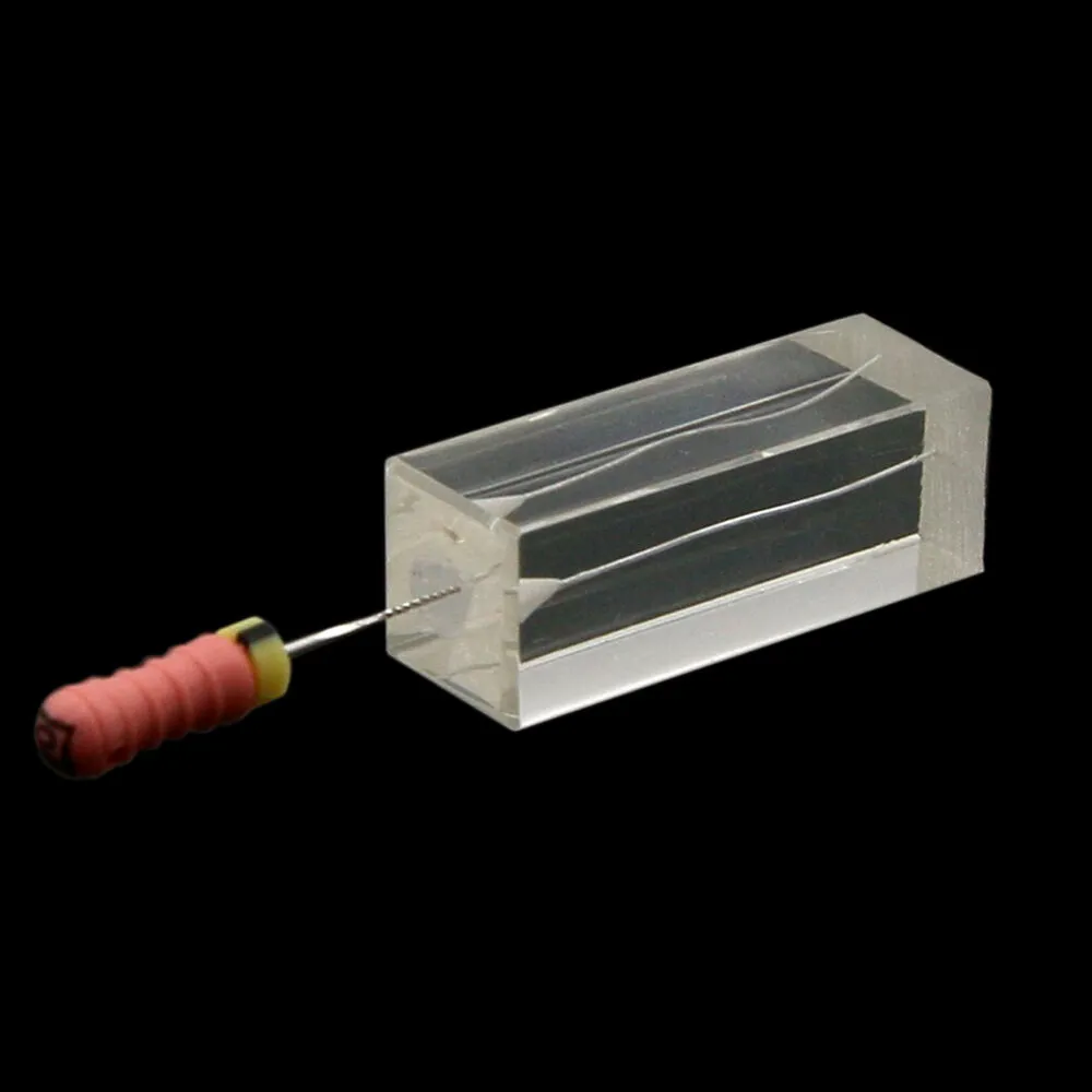 Dental Training Teeth Model - Endodontic Root Canal Practice, Realistic ...