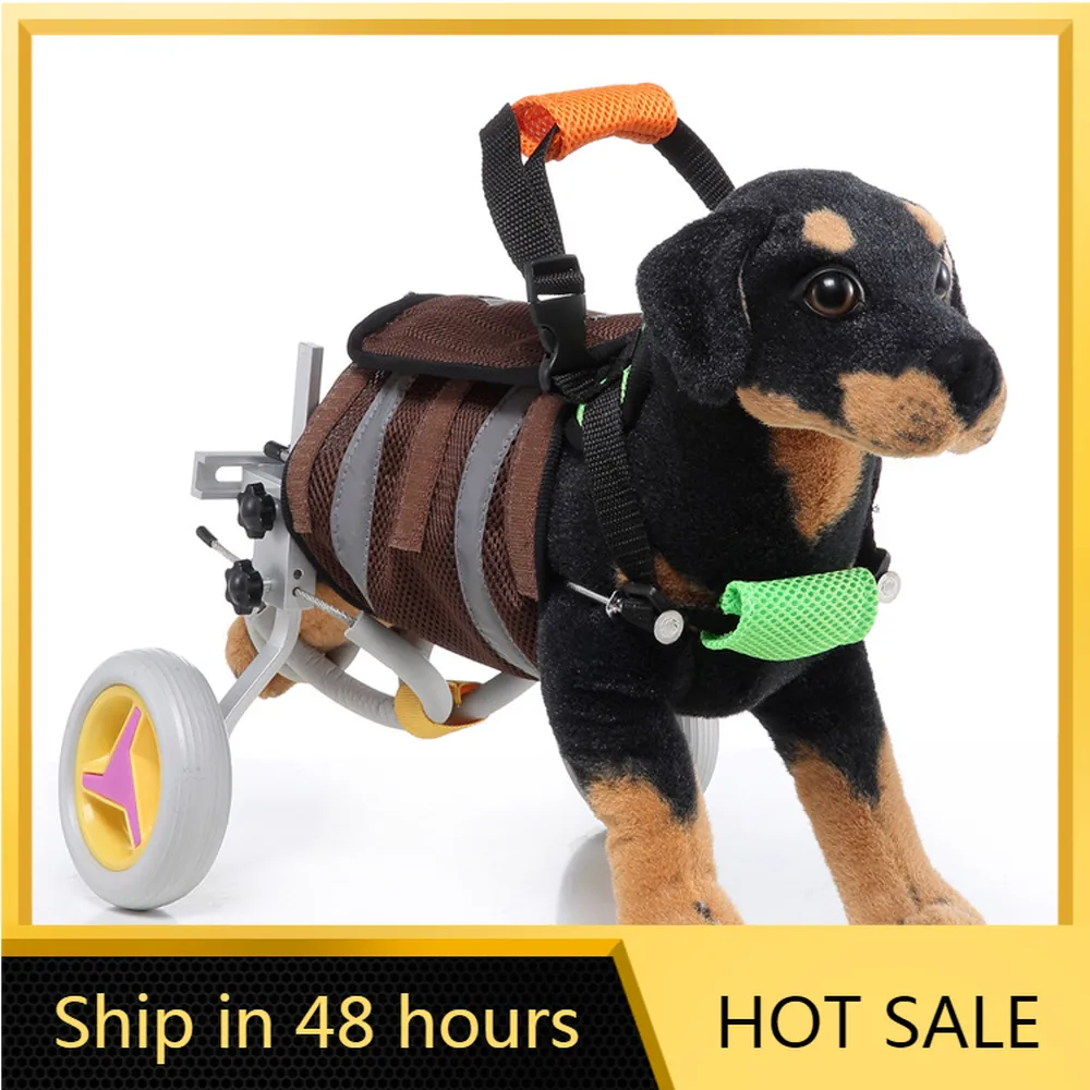 DHgate.com:Adjustable Pet Wheelchair: Empowering Mobility for ...