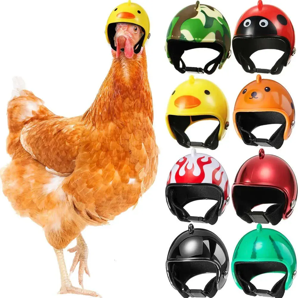 UPS Chicken Small Hard Quail Pigeon Hat Headgear Bird DIY Cartoon ...