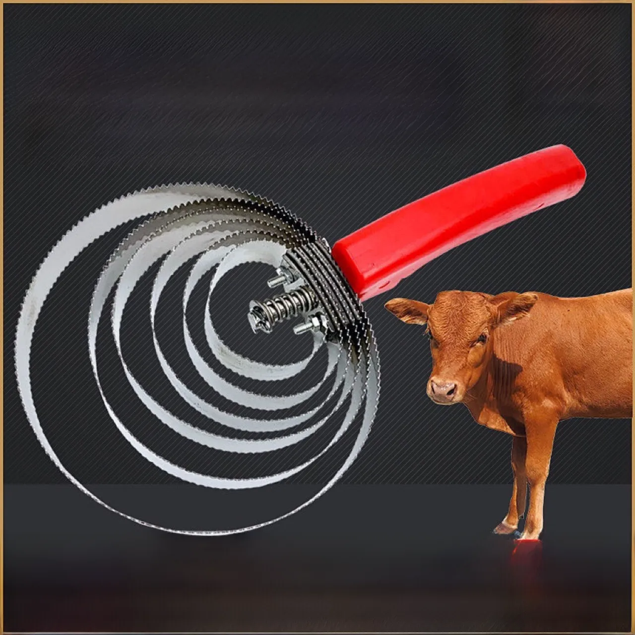 Veterinary Anti Itch Cow Round Brush Blowout For Scraping, Combing, And ...