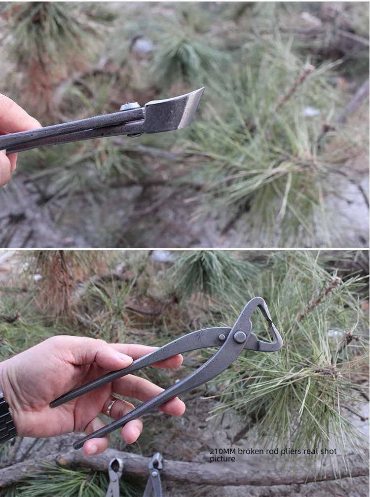 Heavy-Duty Branch Shears: Precision Pruning Tool, Best Seller! Shop Now ...