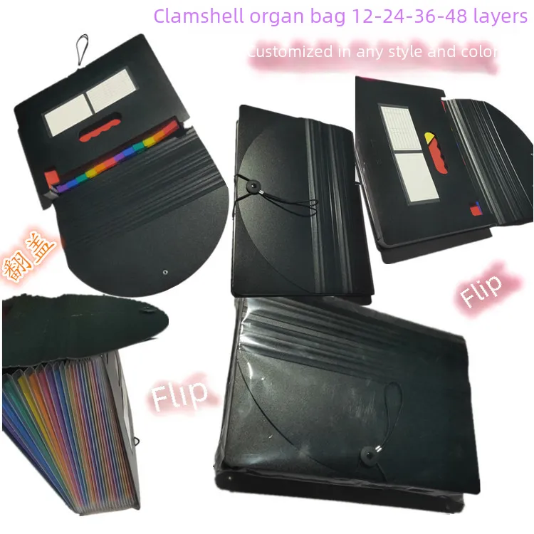 Rainbow Expanding File Folder - A4 Paper Organizer for Students ...