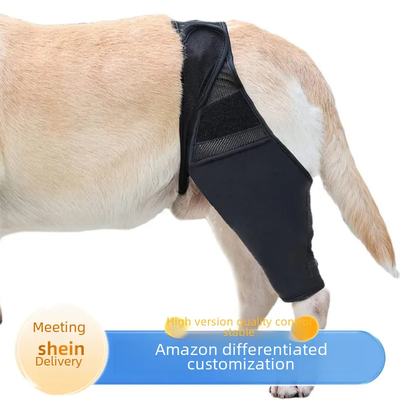Adjustable Dog Leg Support Brace - Front & Rear Protection, Breathable ...