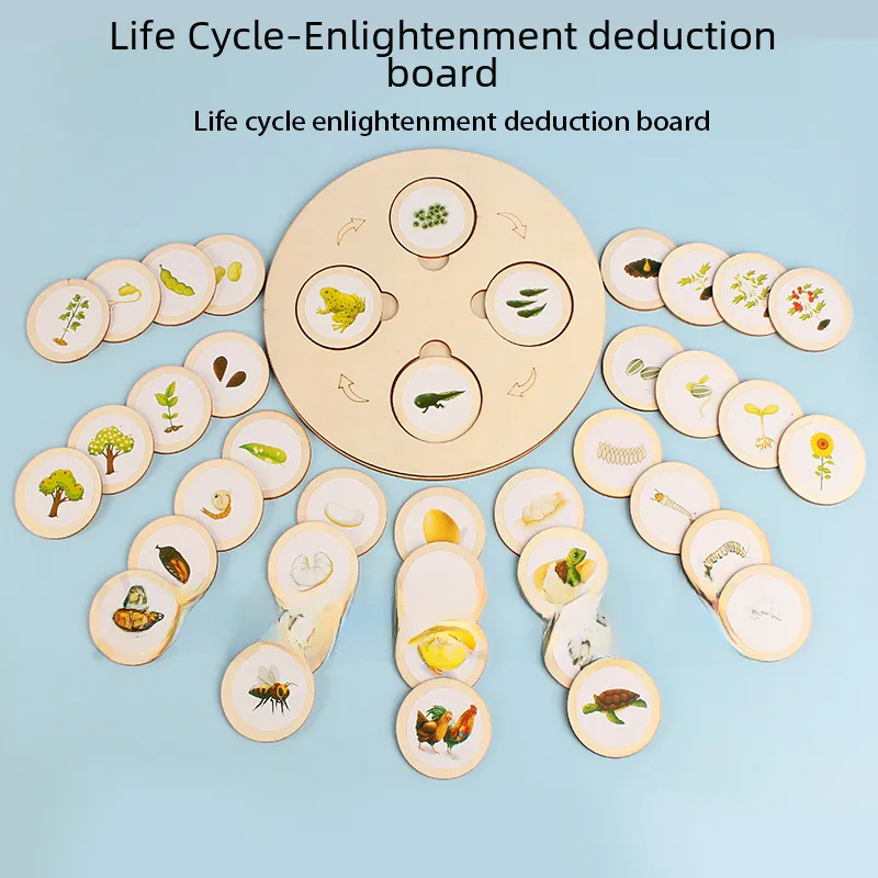 DHgate.com:Wooden Montessori Toys: Interactive Plant & Animal Life ...