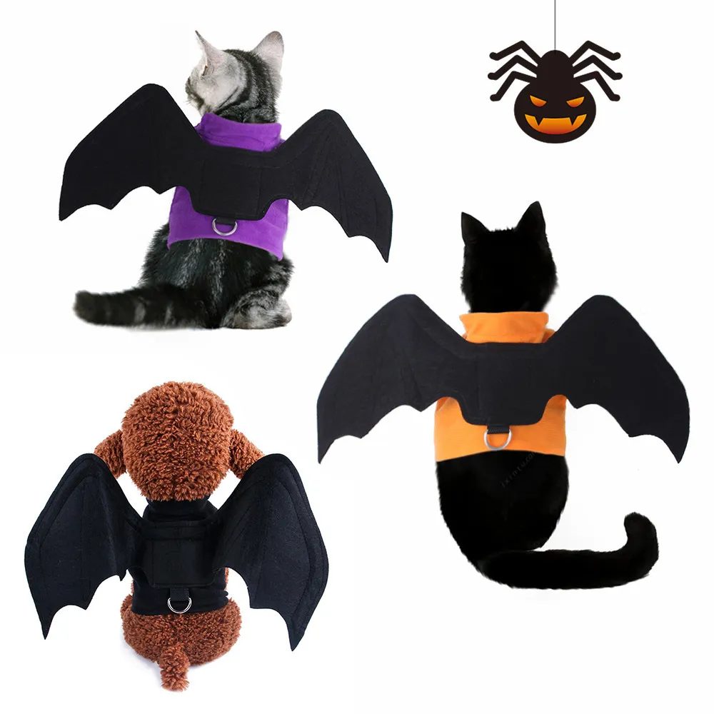 DHgate.com:Foldable Pet Bat Wings, Cat and Dog Spider Costume for ...
