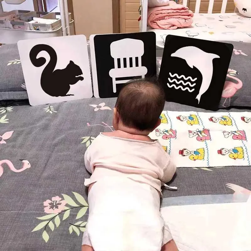 Wall Chart Cognition Card Montessori Toy Baby Visual Stimulation Card ...