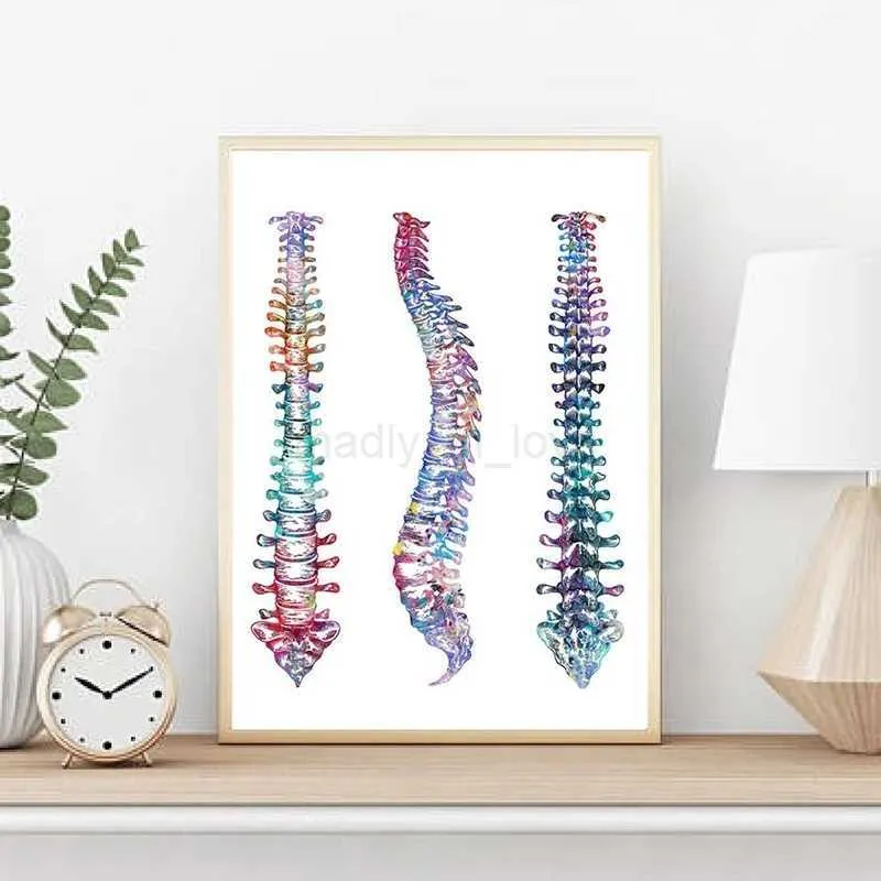 Spine Anatomy Watercolor Art - Vertebral Column Poster, Spinal Cord ...