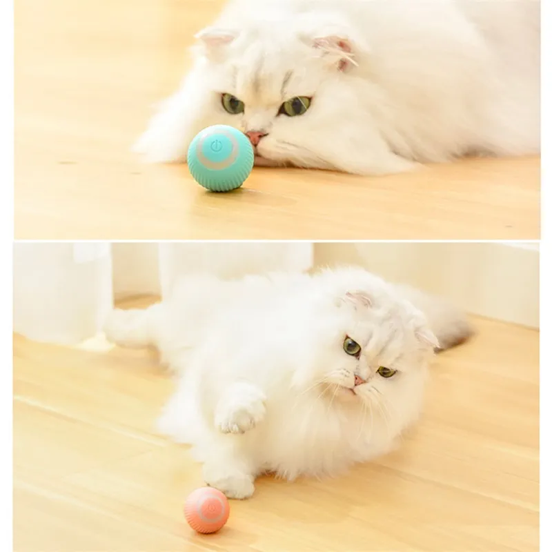 The Ultimate Guide to the New Smart Auto-Rolling Electric Dog & Cat ...