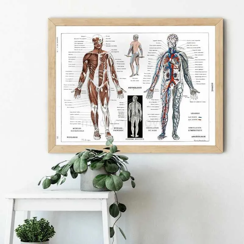 Human Body Anatomical Chart Poster, French Larousse Medical Wall Art ...