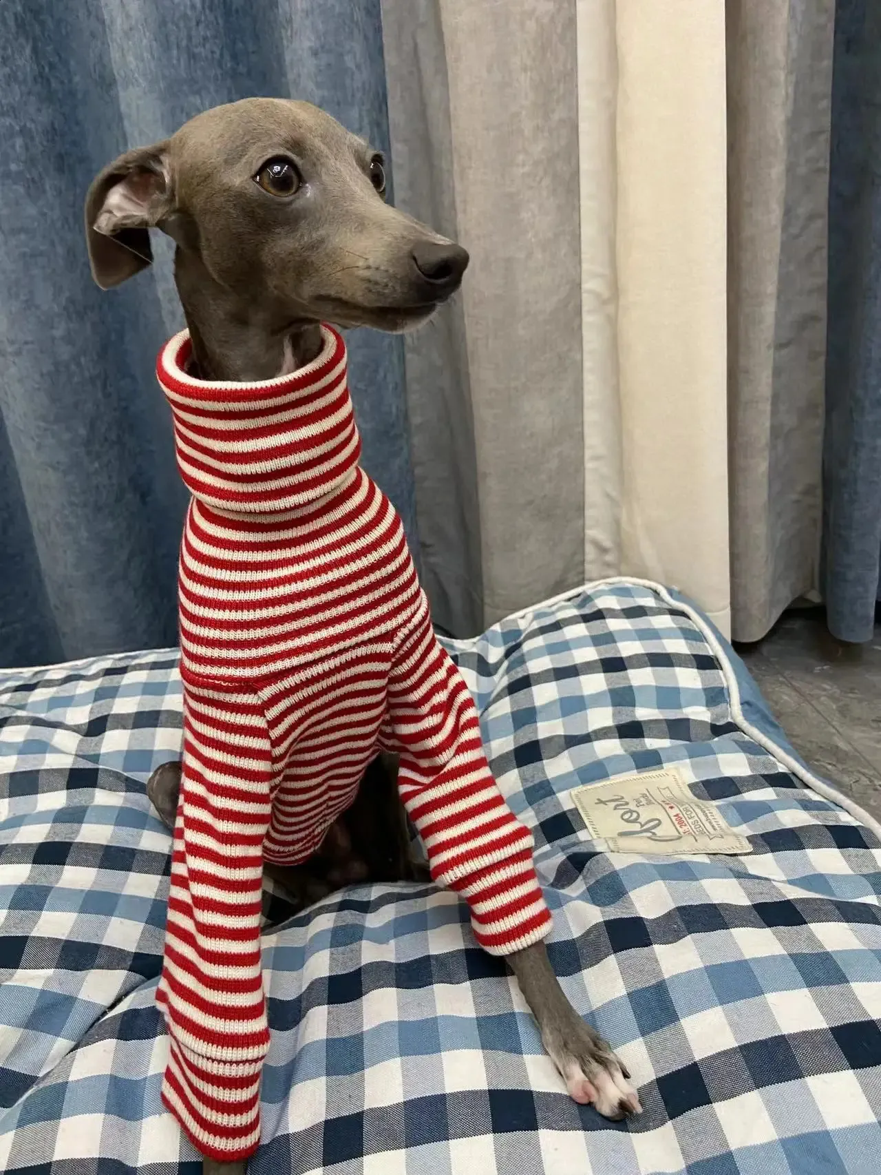 Italian Greyhound Red Striped Stretch Turtleneck Dog Sweater Whippet ...