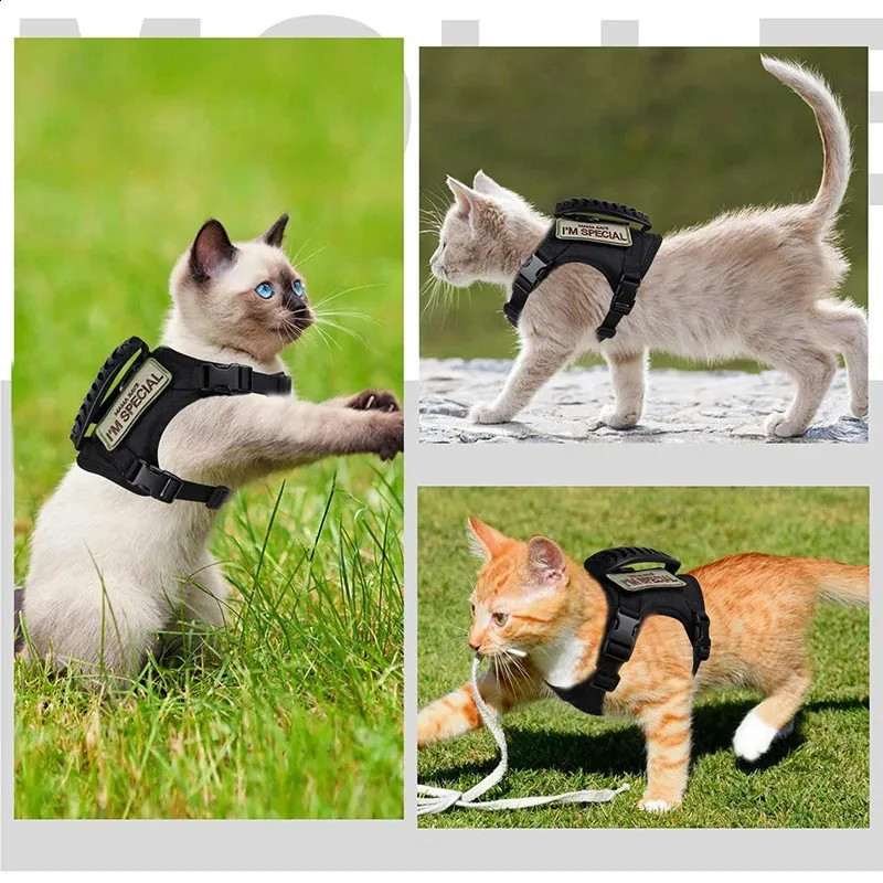 Tactical Cat Harness Vest Leash for Small Dog Adjustable Kitten Vest ...