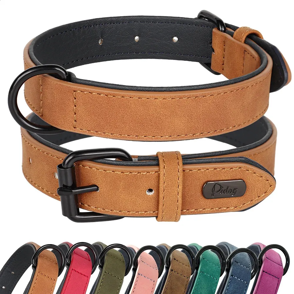 Large Dog Collar Extra Large Leather Soft Padded Collar for Big Dogs ...