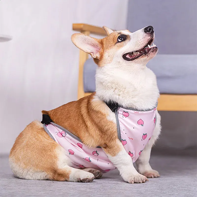 Summer Pet Waterproof Bellyband Dog Clothes Protecting Stomach for ...
