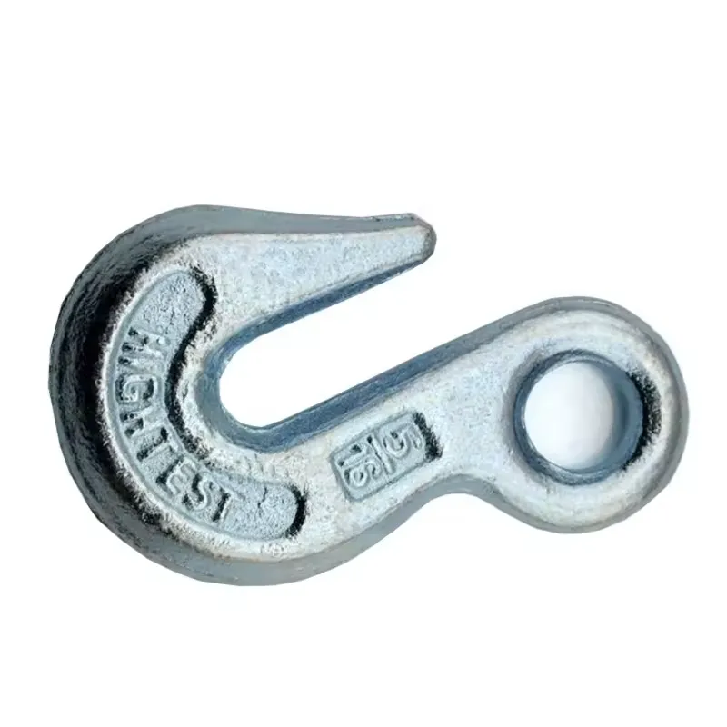 Heavy Duty Stainless Steel Hoisting Hook with Eye Latch - Premium Cargo ...