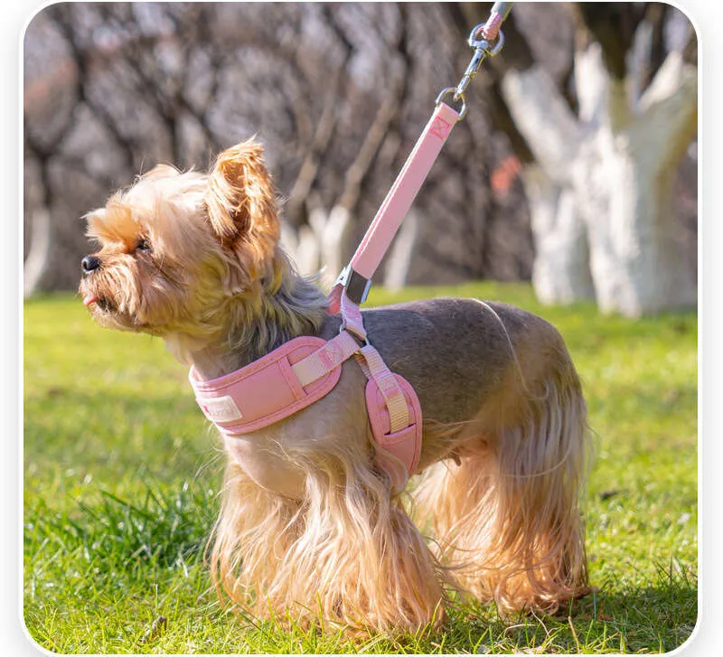 Comfortable Breathable Dog Chest Strap with Tow Rope for Small Dogs ...