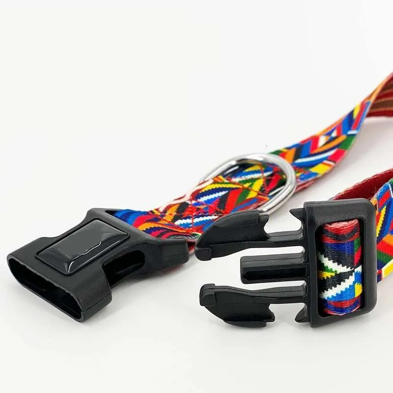 Rainbow Training Collar with Traction Rope for Dog Walking, Big Dog ...