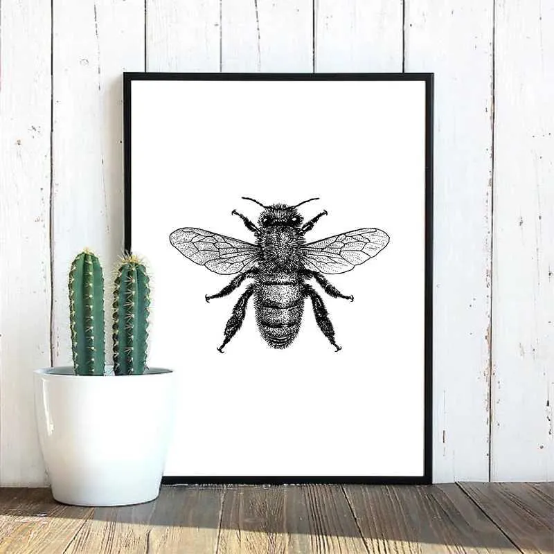 Black & White Insect Art Prints - Hand Drawn Bug Illustrations, Canvas ...