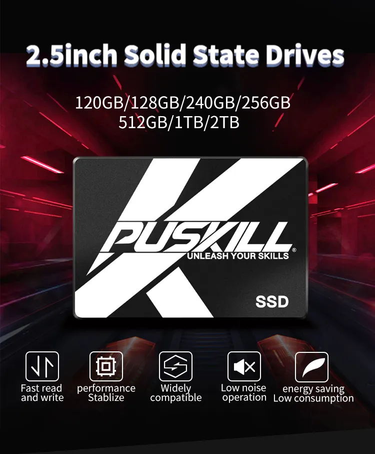 PUSKILL SATA3 2.5-inch Solid State Drive SSD 256GB 512GB 1TB Internal ...