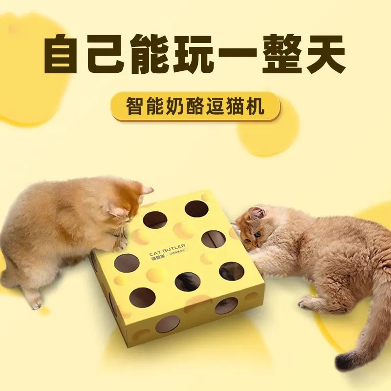 DHgate.com:## New Product Titles:Cat Butler, Pet Cheese Box, Toy ...