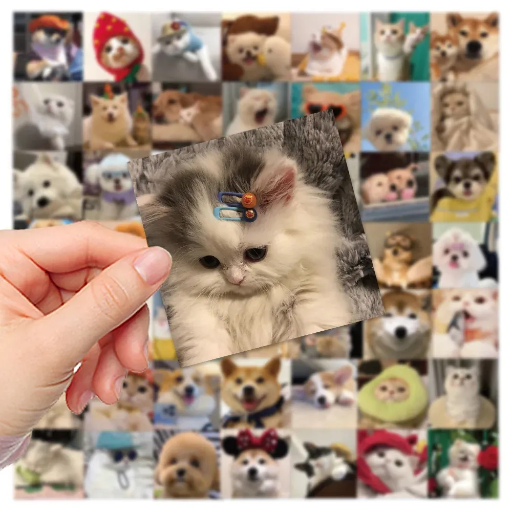 DHgate.com:Kawaii Dog Cat Stickers, 10/30/52PCS Cute Animals MEME ...
