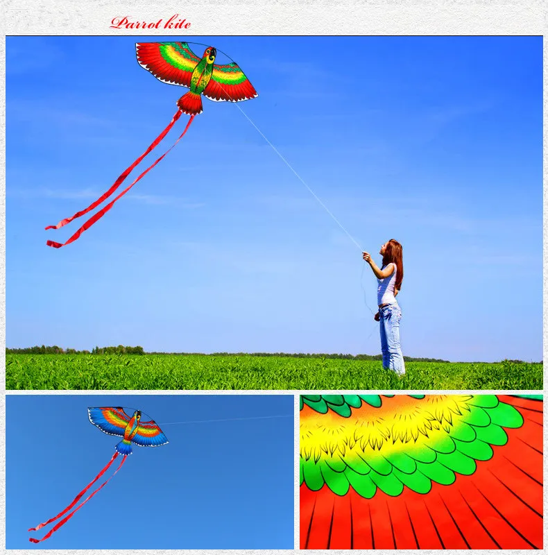 43-Inch Parrot Bird Kite with Handle and Line for Kids Outdoor Flying ...
