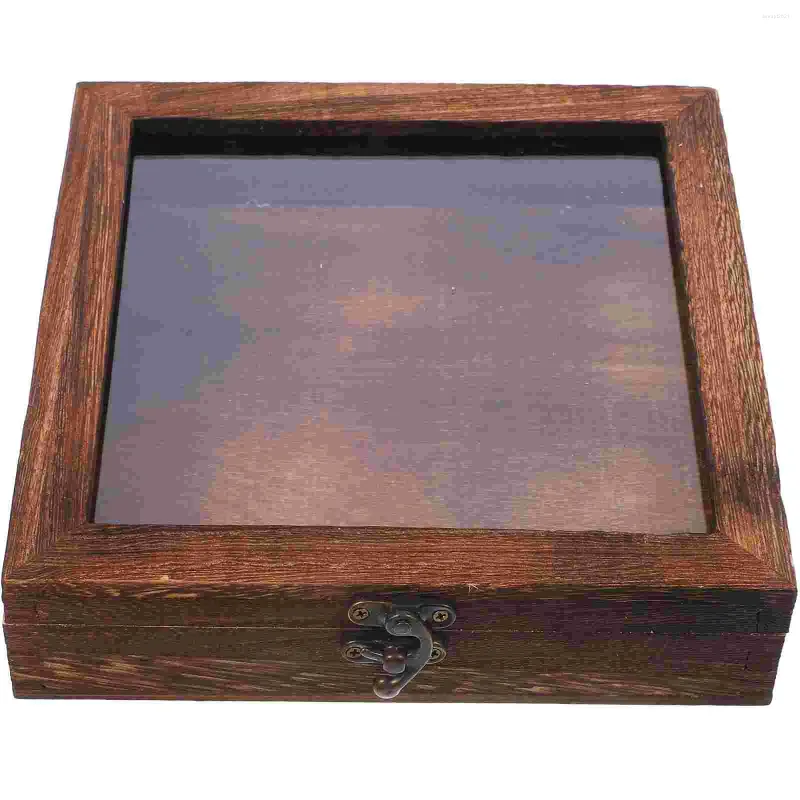DHgate.com:Hanging Insect Specimen Display Box with Hook, Clear Acrylic ...