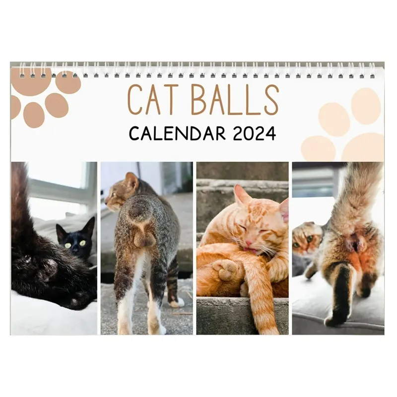 Cat Desk Calendar Paper with Humorous Cat Illustrations and White ...