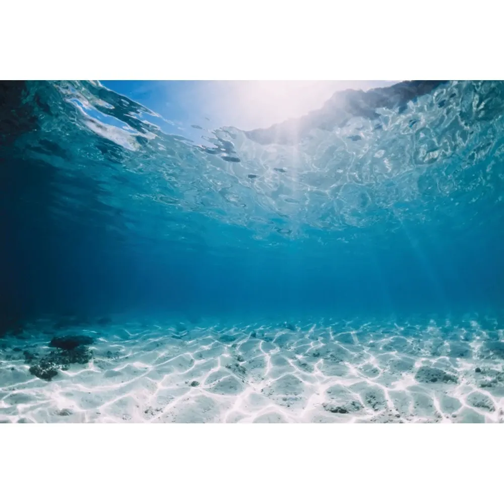 Seabed Photo Backdrop | Dark Blue Water Fish Tank Room Decor Baby ...