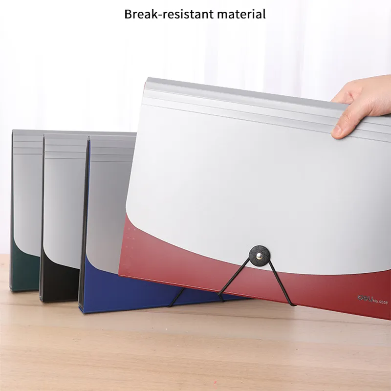 Hanging Folder Organizer A4/Letter Size Expanding File Folder, 13 ...