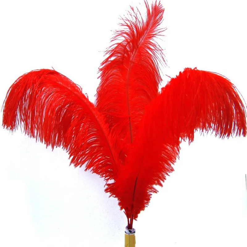 Natural Dyed Red Ostrich Feathers 12 in for Crafts Carnival Wedding ...