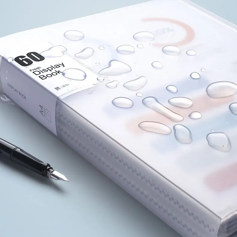 A4 Plastic Budget Binder File Folders with 30, 60, or 100 Pages ...
