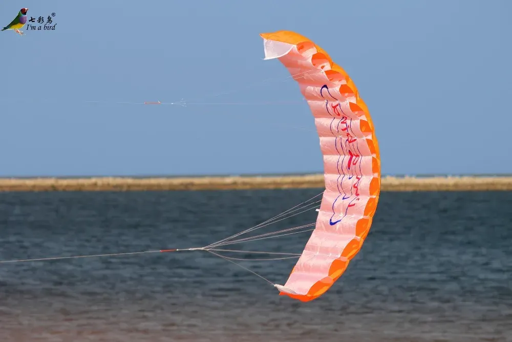 Outdoor Fun Sports Power Dual Line Stunt Parafoil... From Ddmyhome, $49 ...
