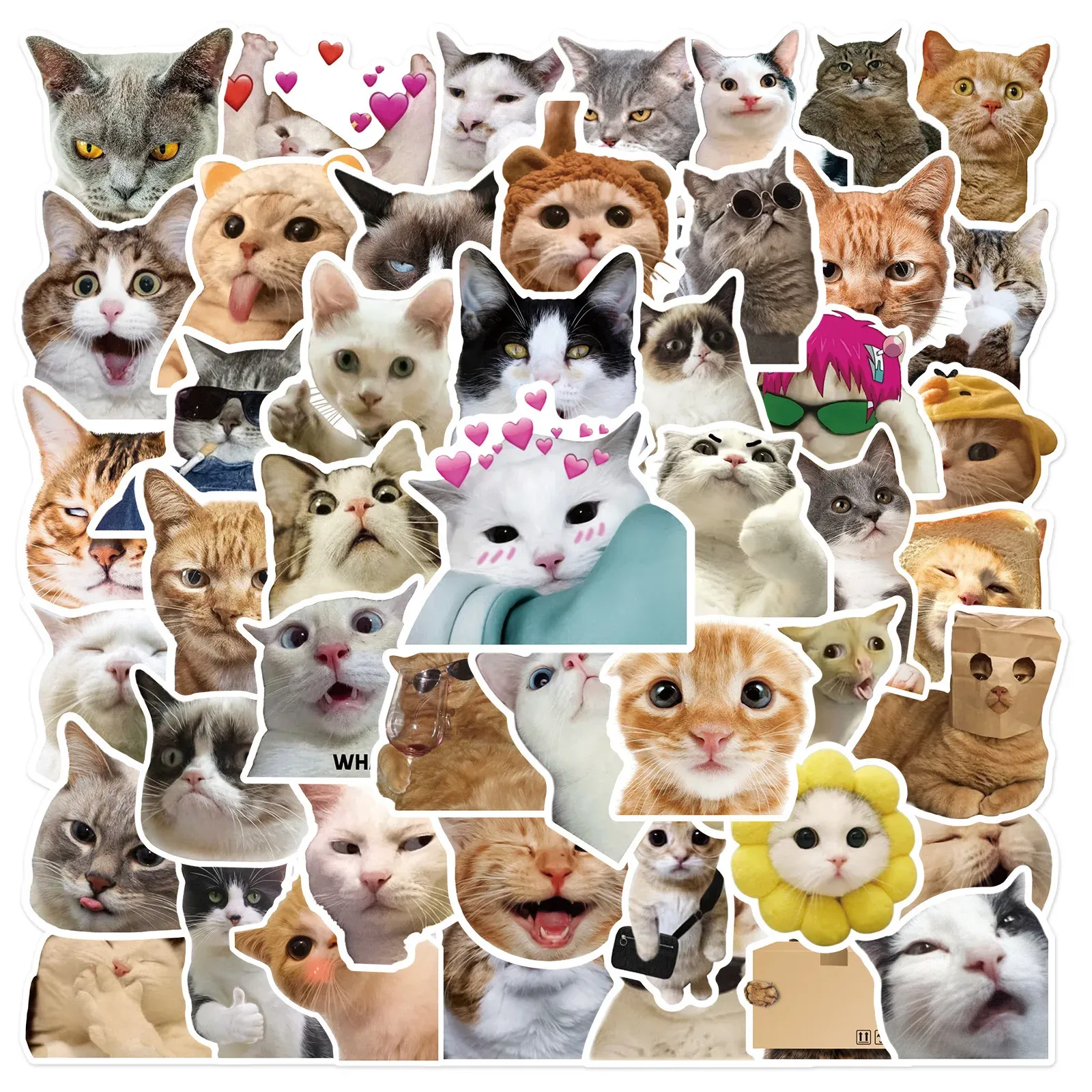 Wholesale 2024 Cat Meme Funny Animal Stickers 10 30 ... From Ddmymaster ...