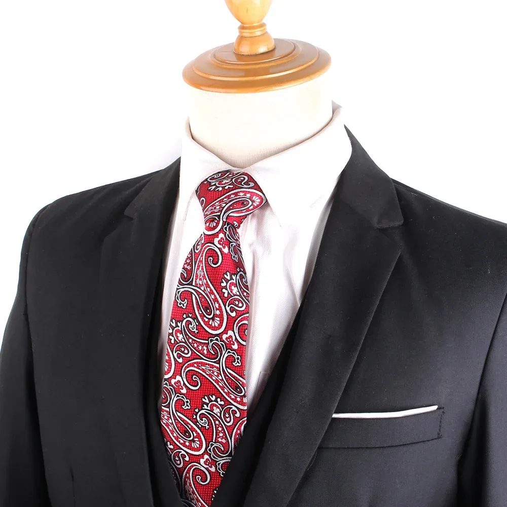 Paisley Skinny Necktie for Men and Women, Casual Bandanna Tie, Slim Tie ...