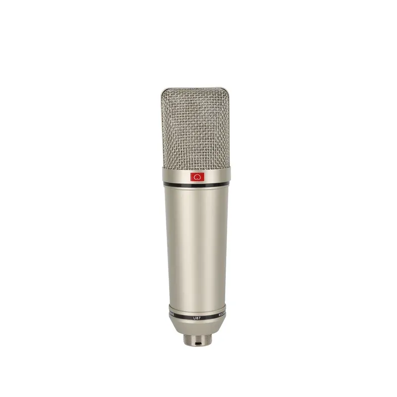 Professional Condenser Microphone Large Diaphragm Mic... From Ddmylucky ...