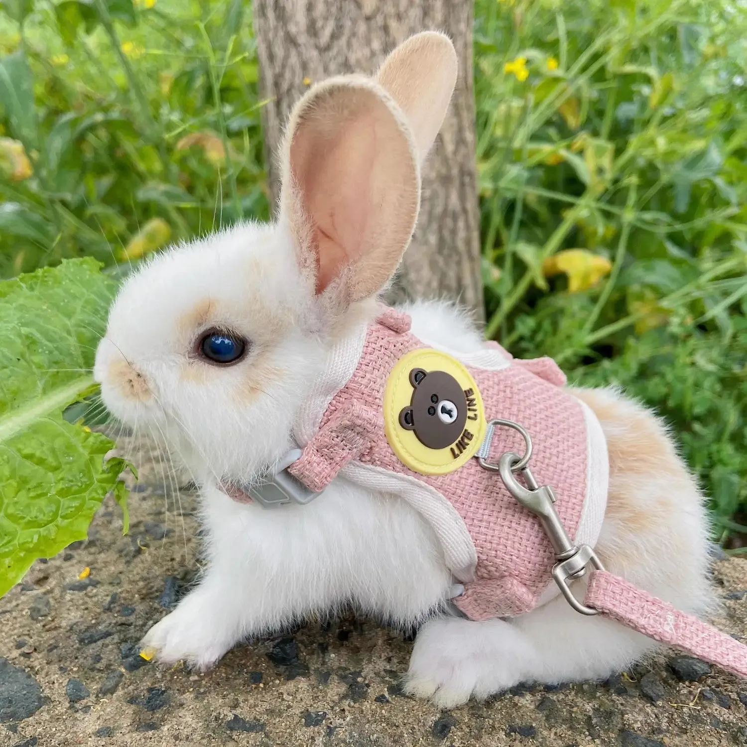 DHgate.com:Soft Padded Rabbit Harness & Leash Set - Bunny Vest for ...