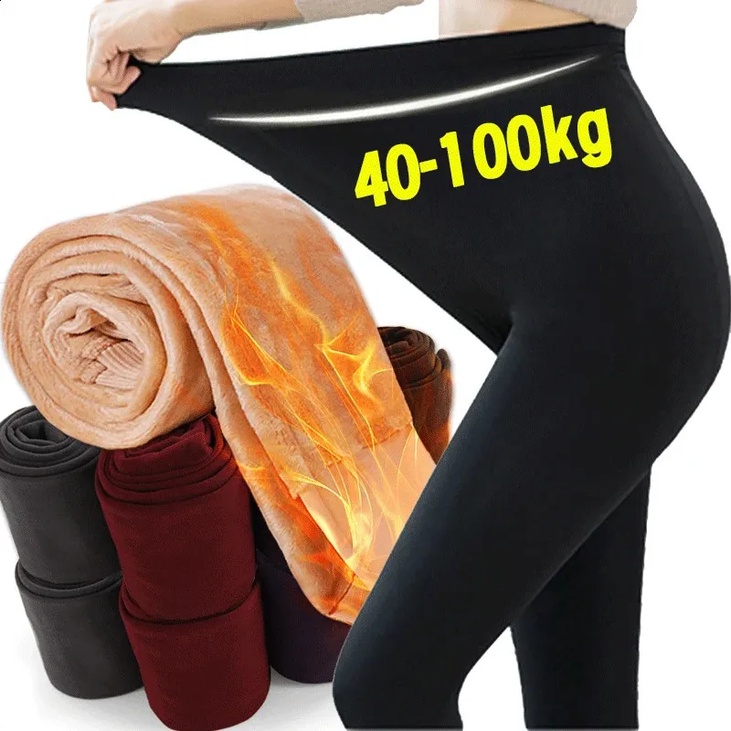 Sexy Women's Thermal Leggings: Winter Warm Elastic Translucent ...