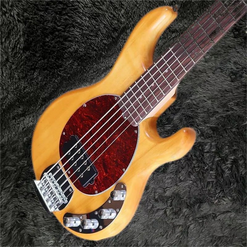 Active 5 String Electric Bass Guitar: High Gloss Basswood Body, 21 ...