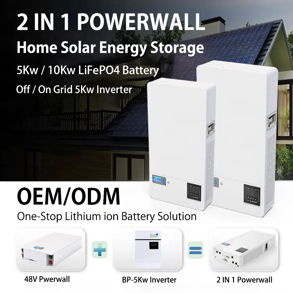 48V Powerwall LiFePO4 51.2V 100Ah 200Ah Battery Pack 2IN1 Plug Play ...