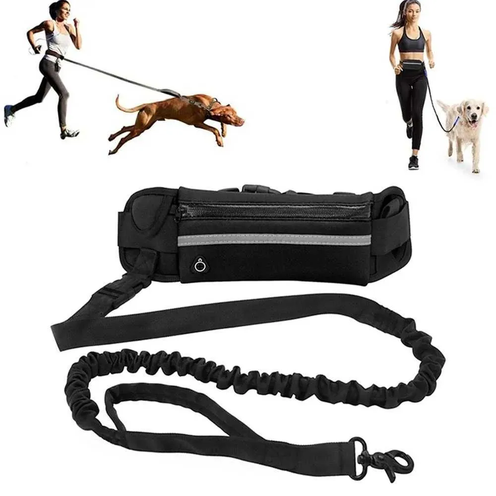DHgate.com:Hands-Free Running Dog Leash with Waist Bag, Reflective ...