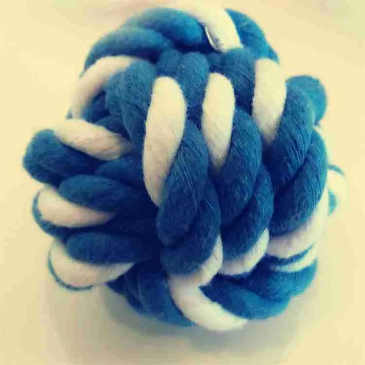 Super Soft Plush Dog Toy - Squeaky & Interactive - Durable Dog Chew Toy ...